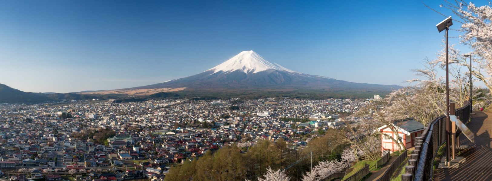 Best Brokers for Businesses in Japan