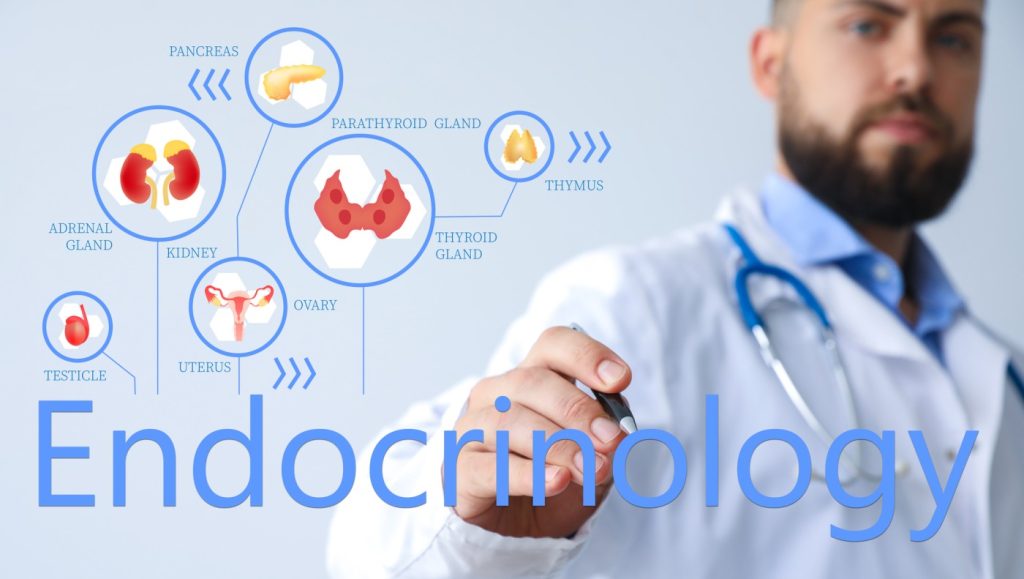 Endocrinology Practices For Sale - View our Listings